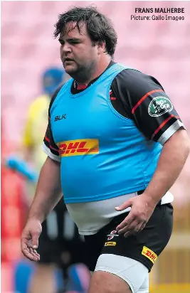 Malherbe back in good shape PressReader