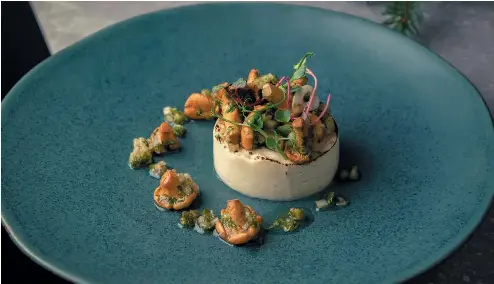 Pickled Girolles, Warm Cauliflowe­r Panna Cotta & Parmesan Crackling ...