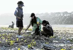 Ship owner sues weatherman over storm surprise - PressReader