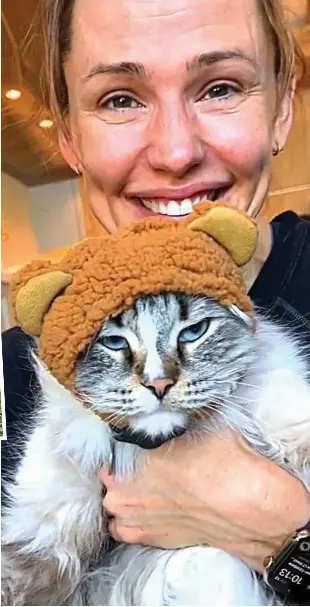 Don’t dress up your cat, you’ll hurt its felines... - PressReader