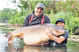 Off the scales - PressReader