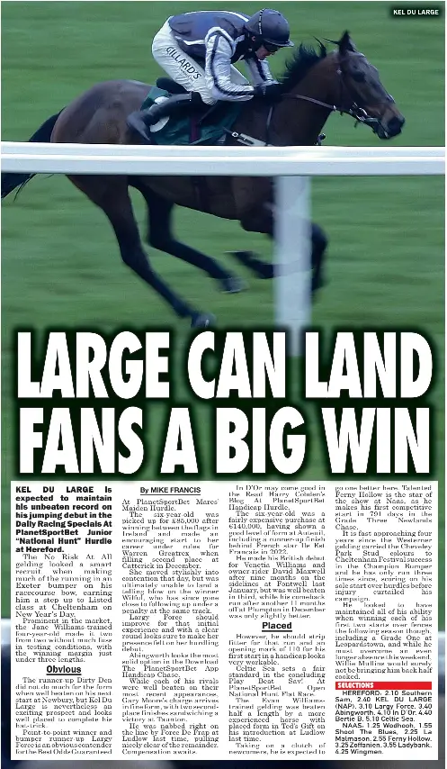 LARGE CAN LAND FANS A BIG WIN - PressReader