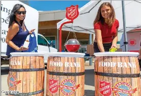 Summertime elves help keep shelves stocked and bellies full - PressReader