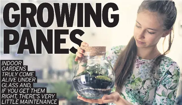 GROWING PANES - PressReader