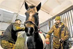 UKRAINE SOLDIERS RIDE OUT WAR STRESS WITH HORSE THERAPY - PressReader