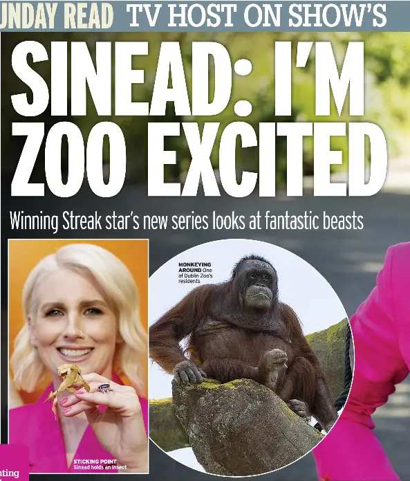 SINEAD: I’M ZOO EXCITED - PressReader