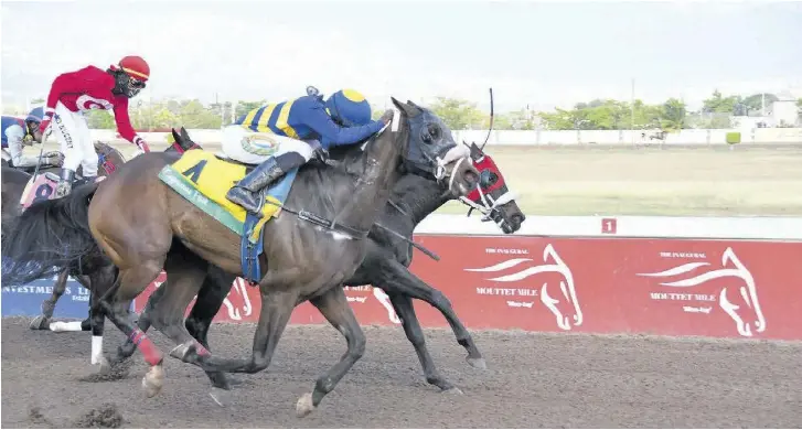 Omar ‘Champo’ Walker rallies Taurus Boy to victory - PressReader