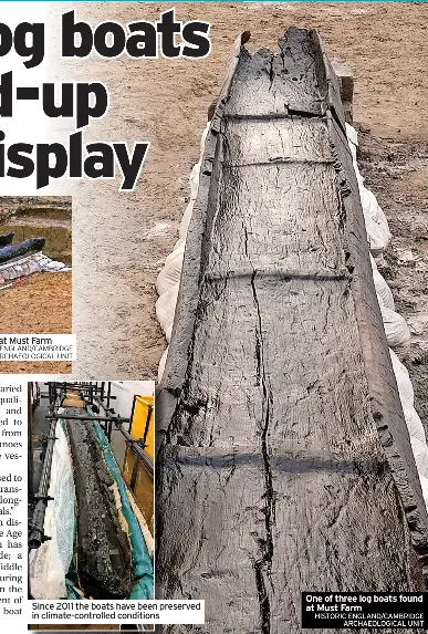 Bronze Age log boats found in silted-up creek go on display - PressReader