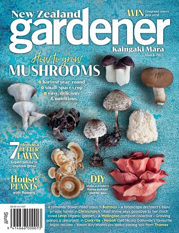 How to grow MUSHROOMS - PressReader