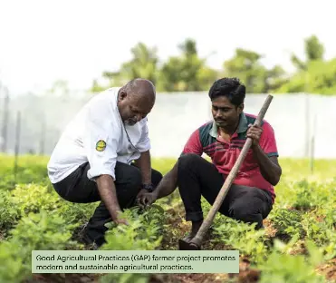 CINNAMON HOTELS & RESORTS - PressReader