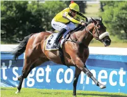 Kannemeyer to dominate with handful of runners - PressReader