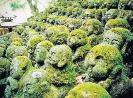 THE MAGICAL WORLD OF MOSS - PressReader
