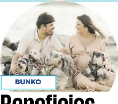 Beneficios de un perro en casa - PressReader