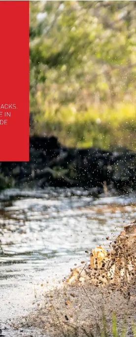 HOW TO NAVIGATE LARGE WATERHOLES - PressReader