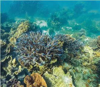 Be awestruck at Ningaloo Reef, WA - PressReader