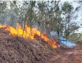 Kat River catchment cleared to boost water - PressReader
