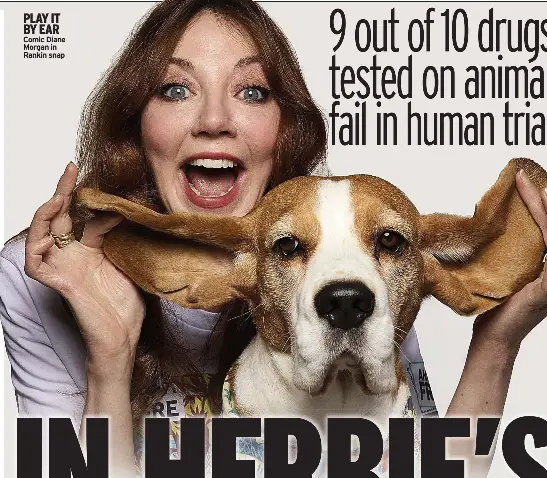 IN HERBIE’S NAME..STOP - PressReader