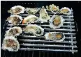 BBQ Oyster Grill V2.1 (Stainless Steel) Shellfish Cooking Racks ...