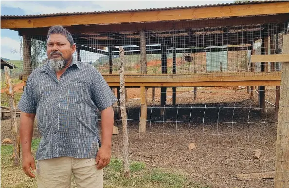 Livestock Farmer Calls for More Pasture Management Training - PressReader