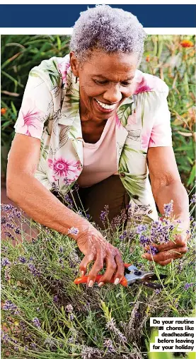 Use the garden buddy system so you can relax on your holidays - PressReader