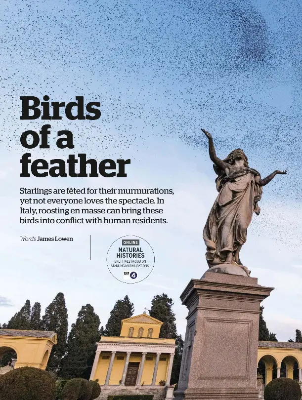 Rome’s starlings - PressReader