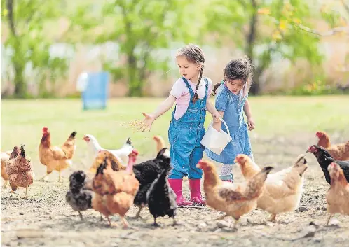 Warning tax threats to family farms could jeopardise future - PressReader