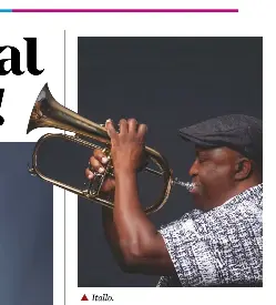 Itallo to dish out premium jazz at Mountain View - PressReader