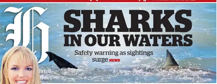 SHARKS IN OUR WATERS - PressReader