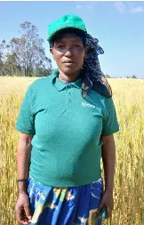 From Acid to Abundance: How OC MASSA is turning Ethiopia’s ‘Dead ...