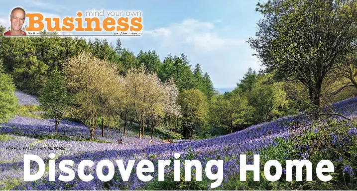 Discoverin­g Home - PressReader