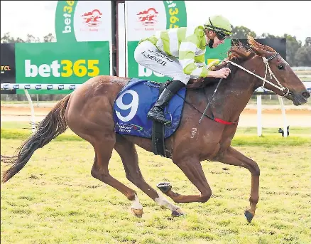 Love is super for Archard - PressReader