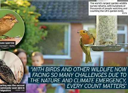 RSPB’s annual Big Birdwatch returns to Cambridge gardens - PressReader