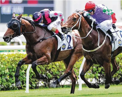 AWESOME FLUKE CAN GET LUCKY - PressReader