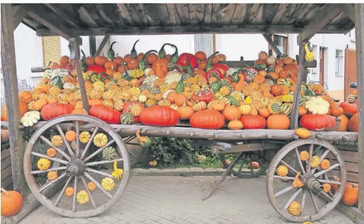 Das erwartet Besucher beim Kürbisfest - PressReader