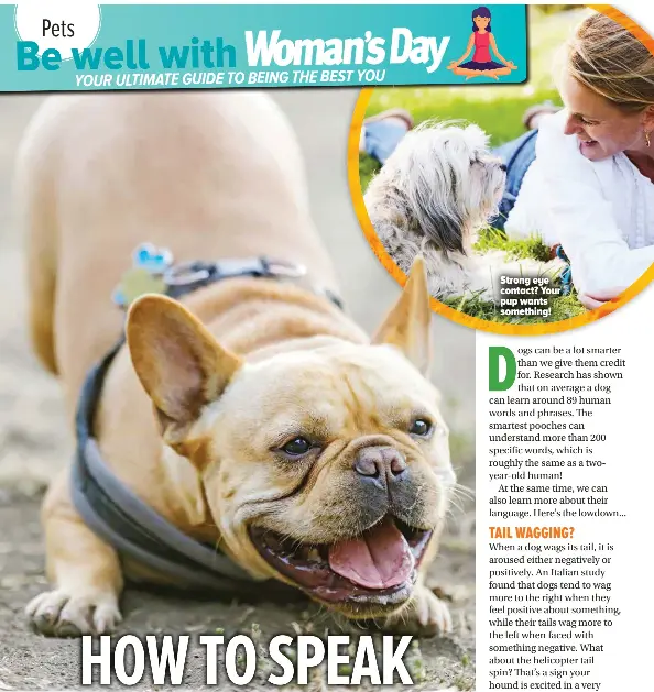 HOW TO SPEAK FLUENT DOG - PressReader