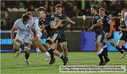 Young flanker Guy signs new Falcons deal - PressReader