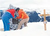 Der Countdown zur neuen „Bilderbuch-WM“läuft - PressReader