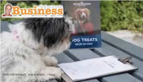 GOING TO THE DOGS - PressReader