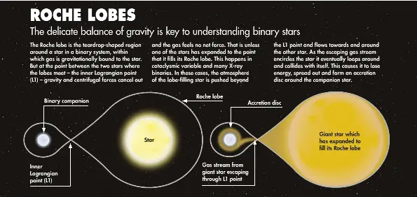 ROCHE LOBES - PressReader