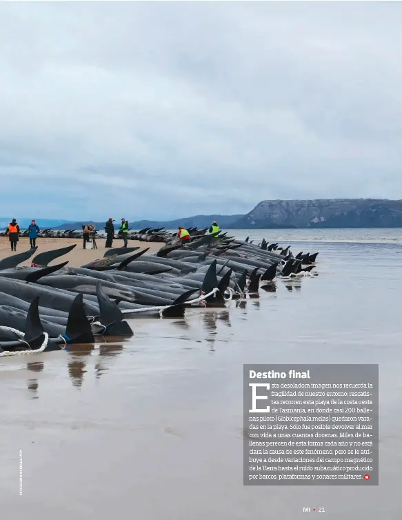 Destino final - PressReader