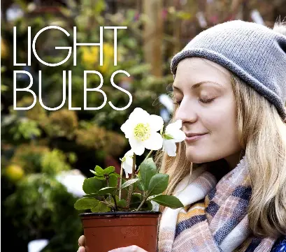 Light bulbs - PressReader