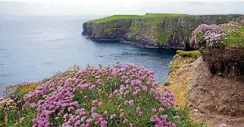 MAGICAL INCANTATIO­N OF THE WILD NORTH - PressReader