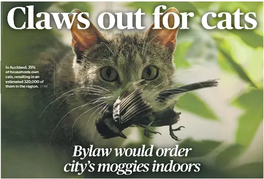 Claws out for cats - PressReader
