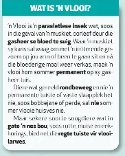 WAT IS ’N VLOOI? - PressReader