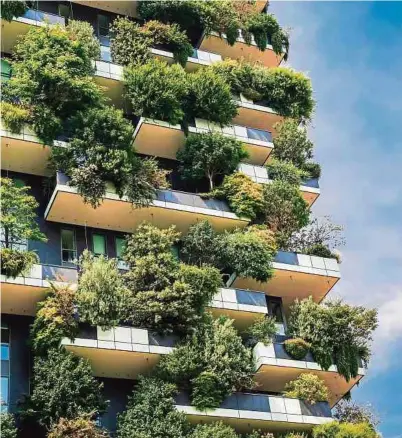 Green Building: Bauen mit Zukunft - PressReader
