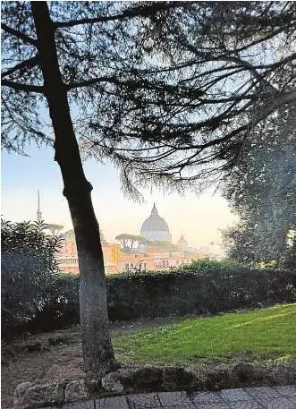 Retomando el ritmo sinodal - PressReader