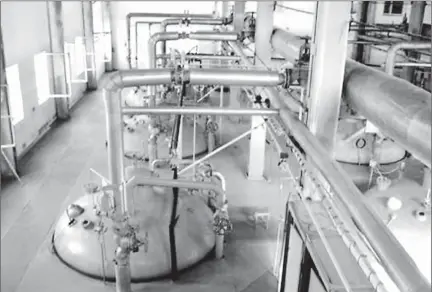 Raigam starts operations at the first ‘pure’ salt plant in the island ...