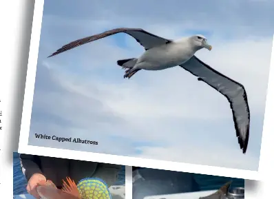 BLUE PLANET - PressReader