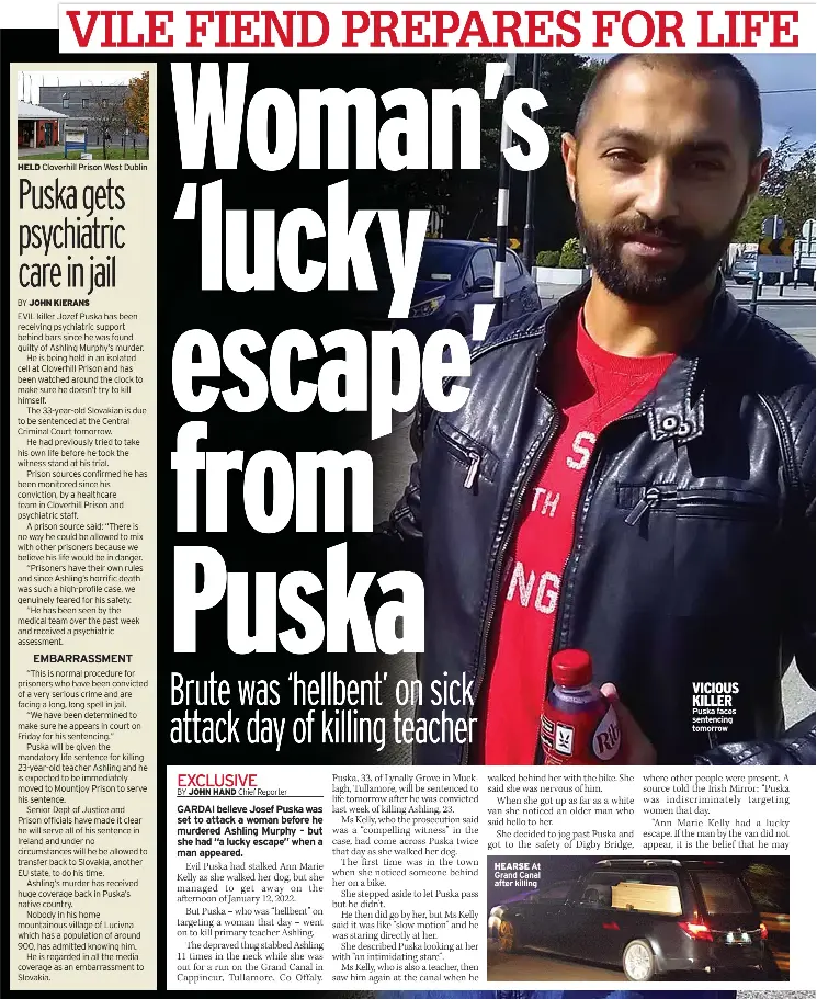 Woman’s ‘lucky escape’ from Puska - PressReader