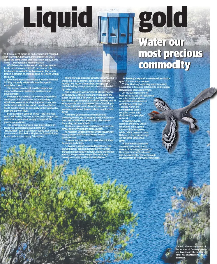 Liquid gold - PressReader